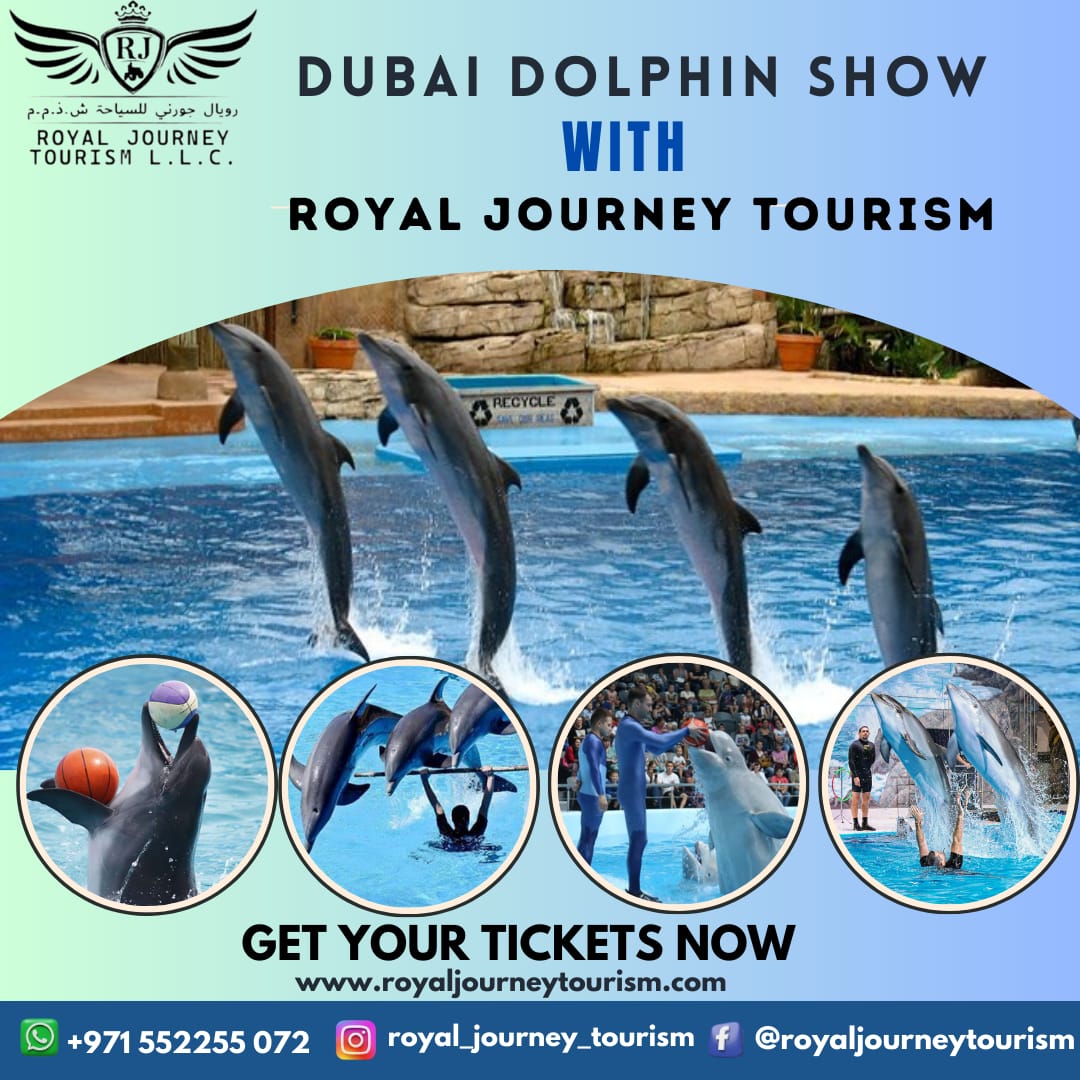 Dolphin Show Dubai: An Unforgettable Marine Adventure
